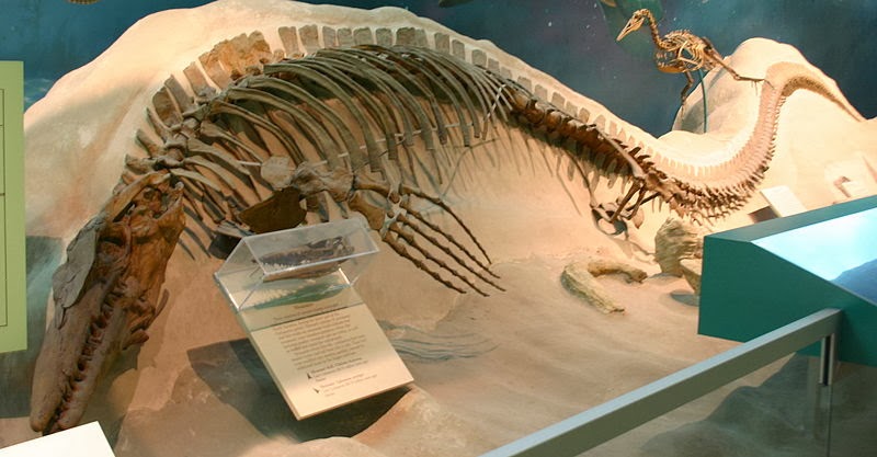 Prehistoric Beast of the Week: Tylosaurus: Beast of the Week