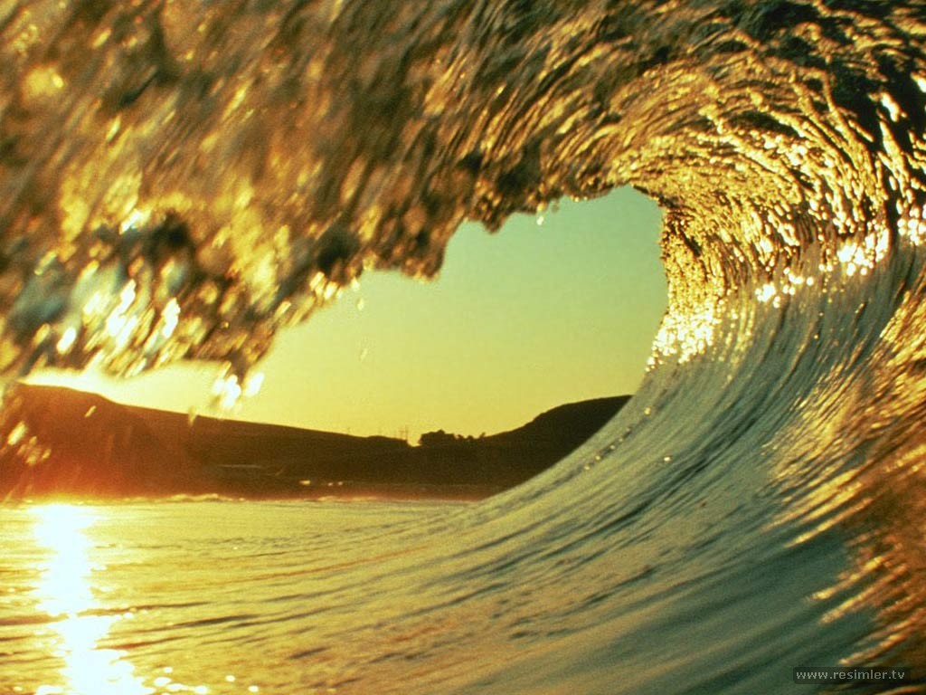 ÖZÜRLÜ FOTOĞRAFÇI: ÇEŞİTLİ ARKA PLANLAR