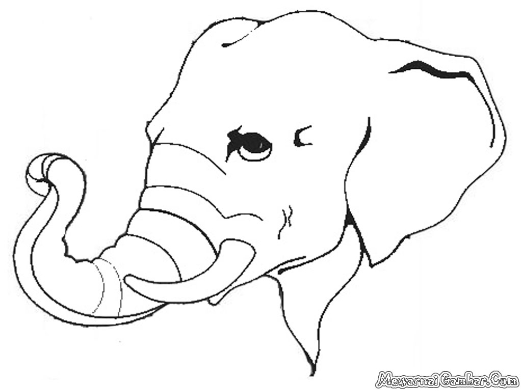 Mewarnai Gambar Gajah | Mewarnai Gambar