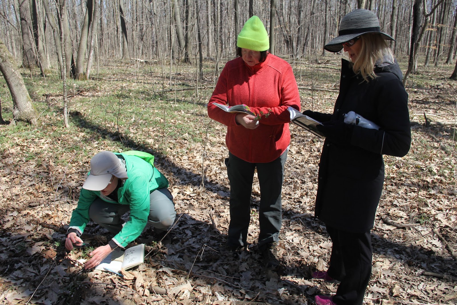 Isabella Conservation District Environmental Education Program ...