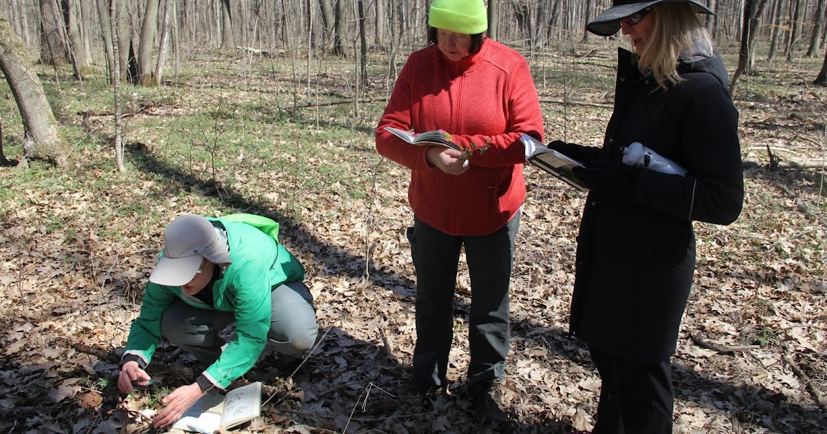 Isabella Conservation District Environmental Education Program ...