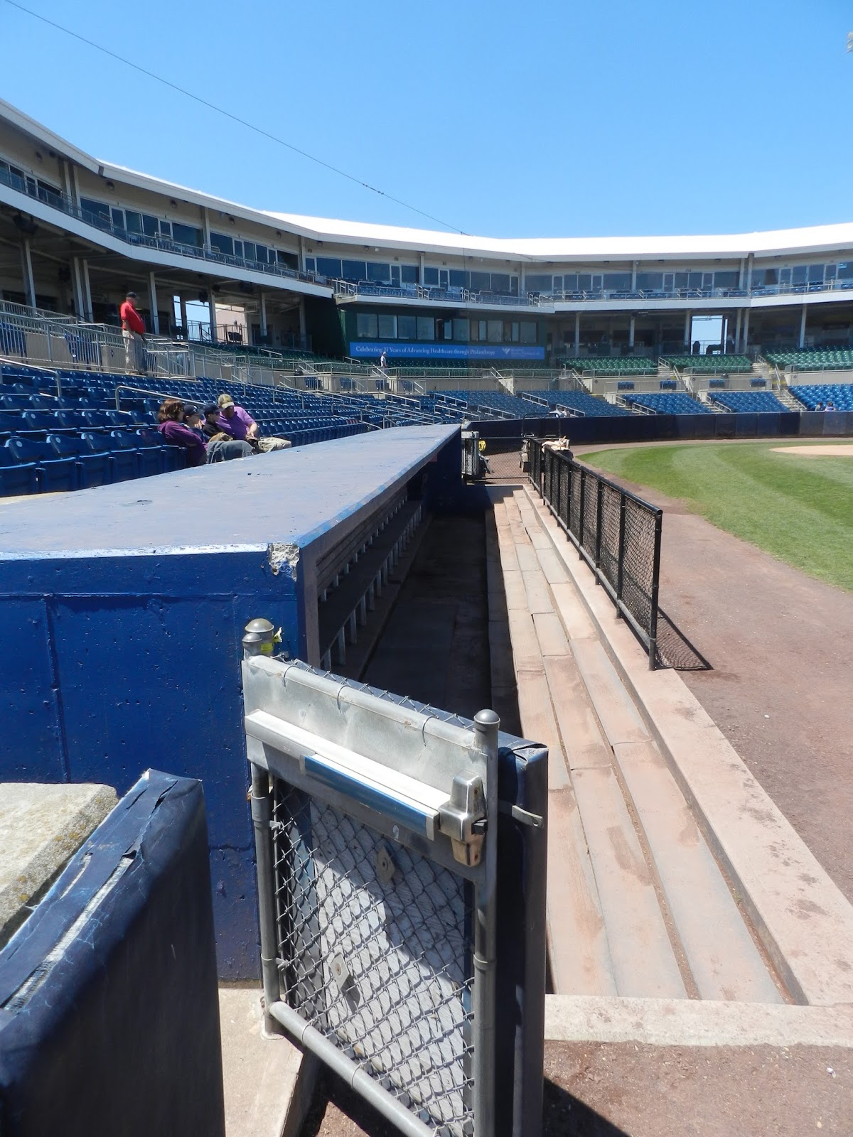 Somerset Patriots @ Bridgeport Bluefish