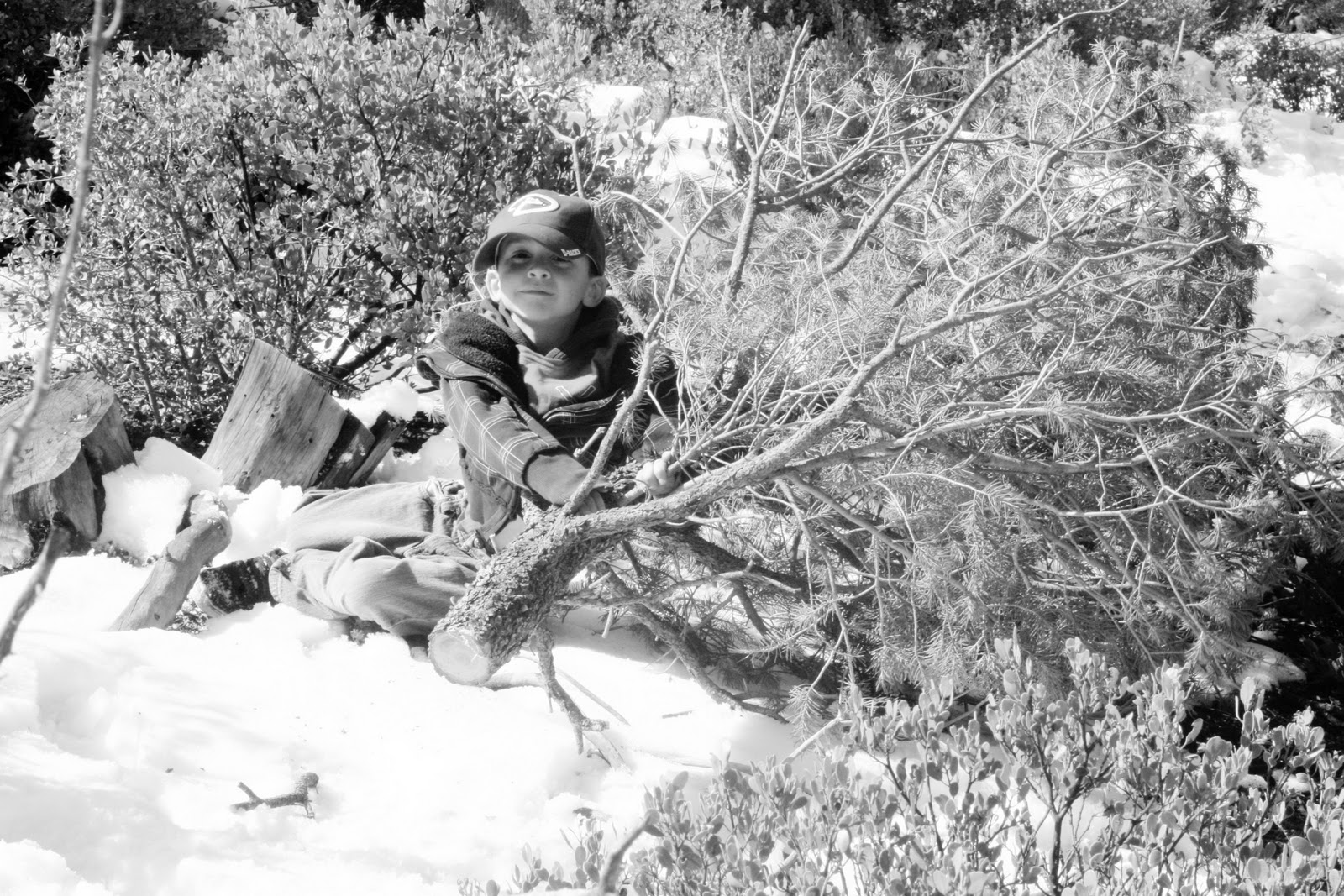 The Nelson Family Blog