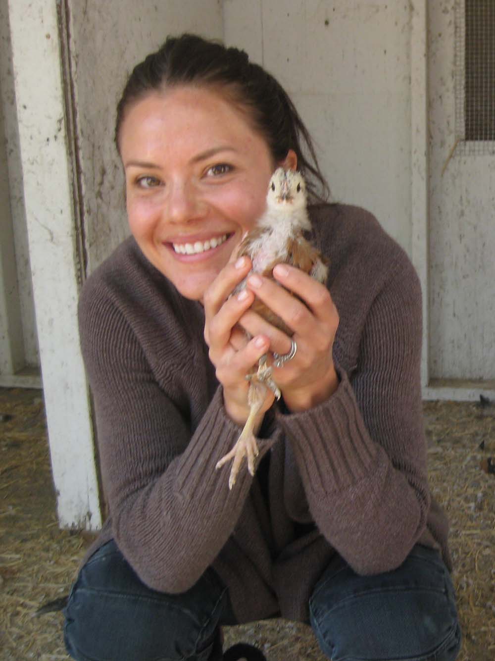 The General Farmer: Chicken Foster Care