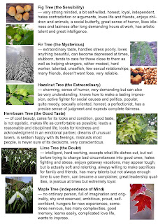 Fun Masti Entertainment: (°TaNoLi°) Types of Trees