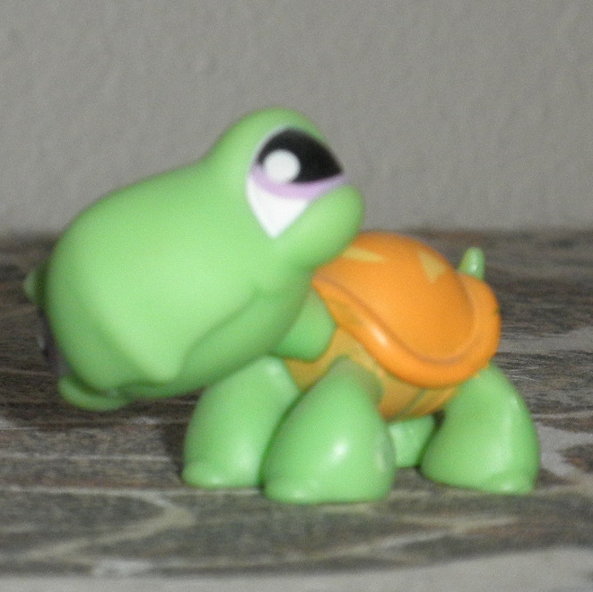 Collectomania: LPS Turtles