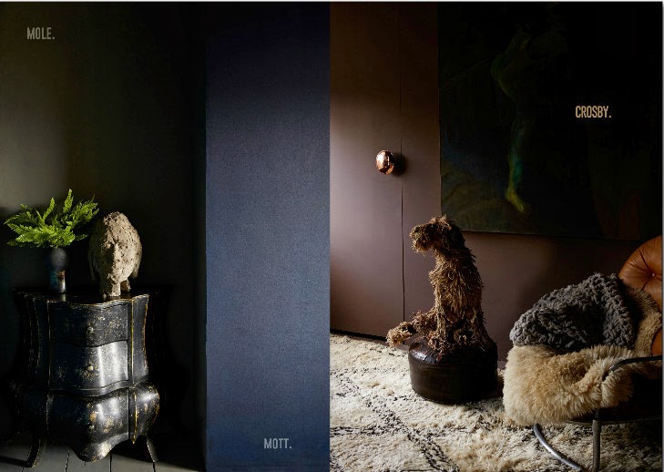 designers block: Abigail Ahern's Paint Revolution