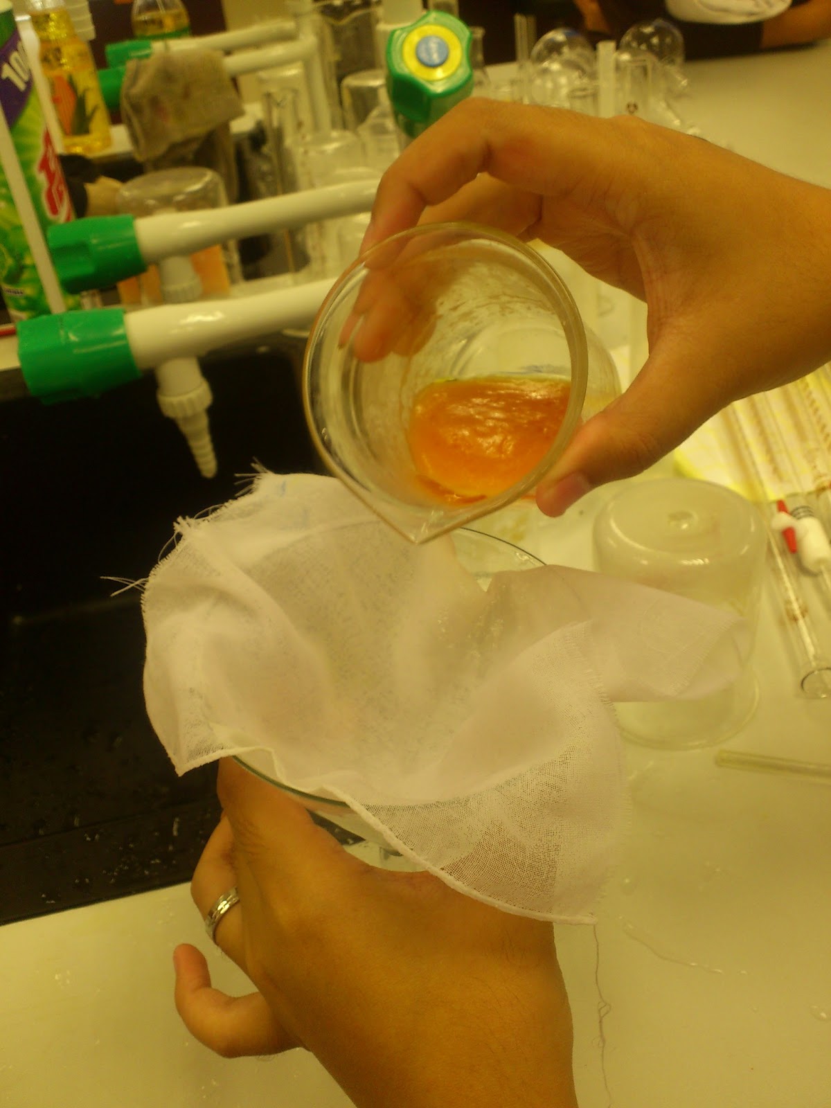 Biochem: The Odd, Crazy But Fun: FUN EXPERIMENT 5: Lipid