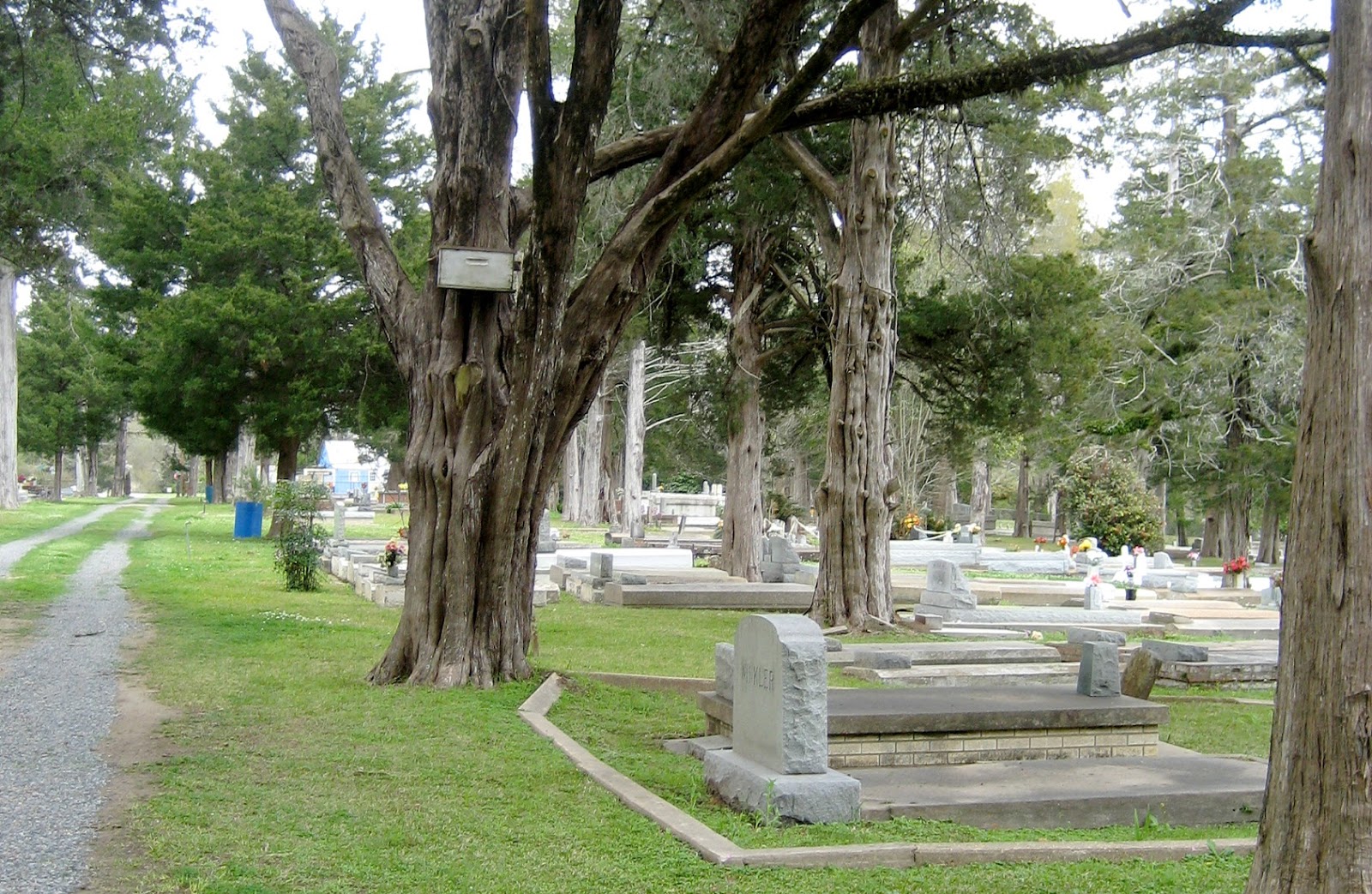 Living Rootless: Washington, Louisiana: Cedar Hill Cemetery