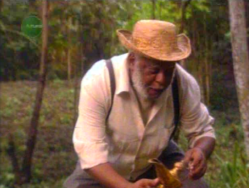 Sitio do Picapau Amarelo: # Tio Barnabé enterra a lâmpada