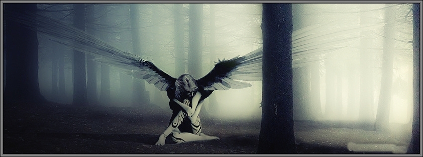 Fallen angel Facebook Cover ~ Covers Junction