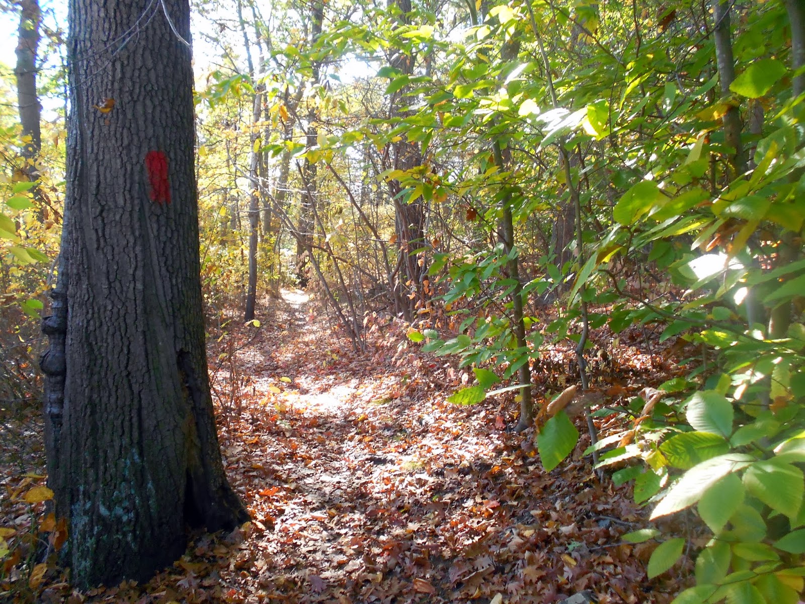 Breakheart Outdoors: October 2013