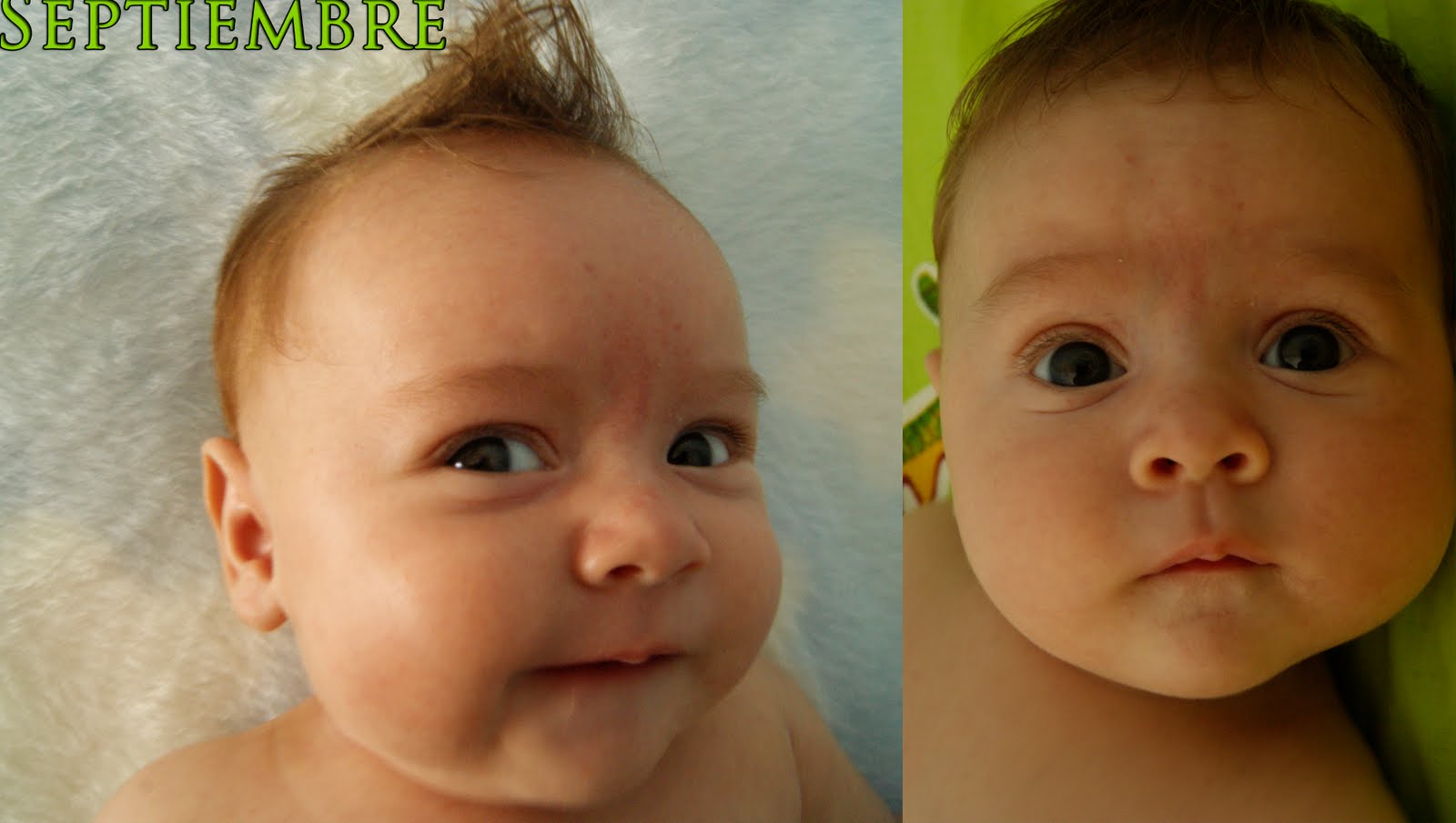 Mi bebe de mazapan: Saludando al 2012