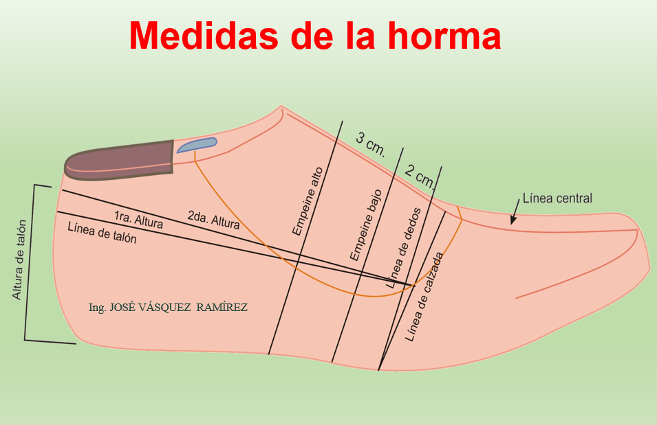 DISEÑO Y DESARROLLO E INGENIERIA DE PRODUCTO - CALZADO: MEDIDAS DE LA ...