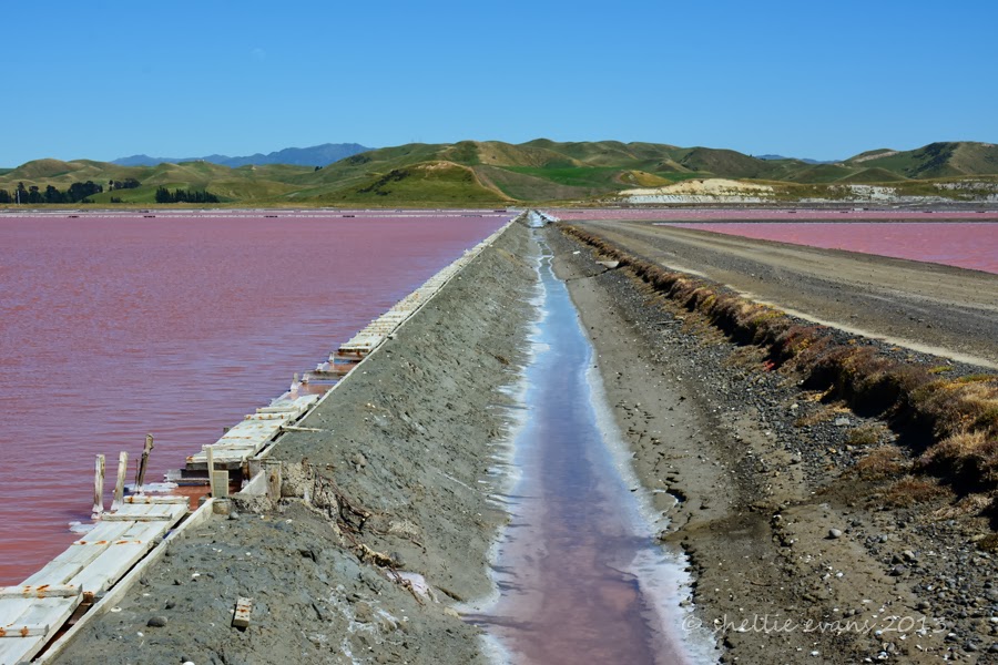 Two Go Tiki Touring: Pink Ponds & the Salt Shaker