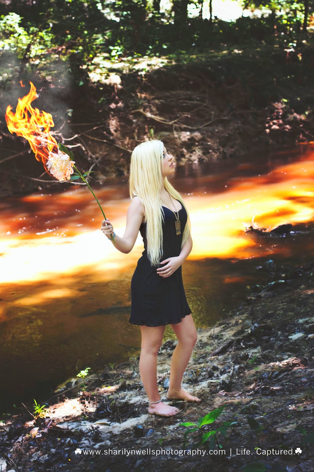 Sharilyn Wells Photography: Getting Creative | Concept Shoot ...