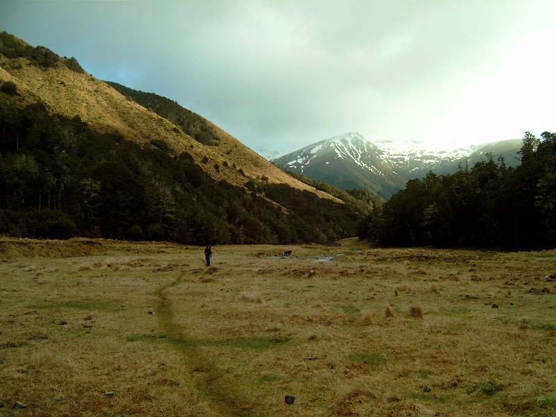 BlogRoddus: Henry Saddle/Anne hut/Foley Creek October 2006