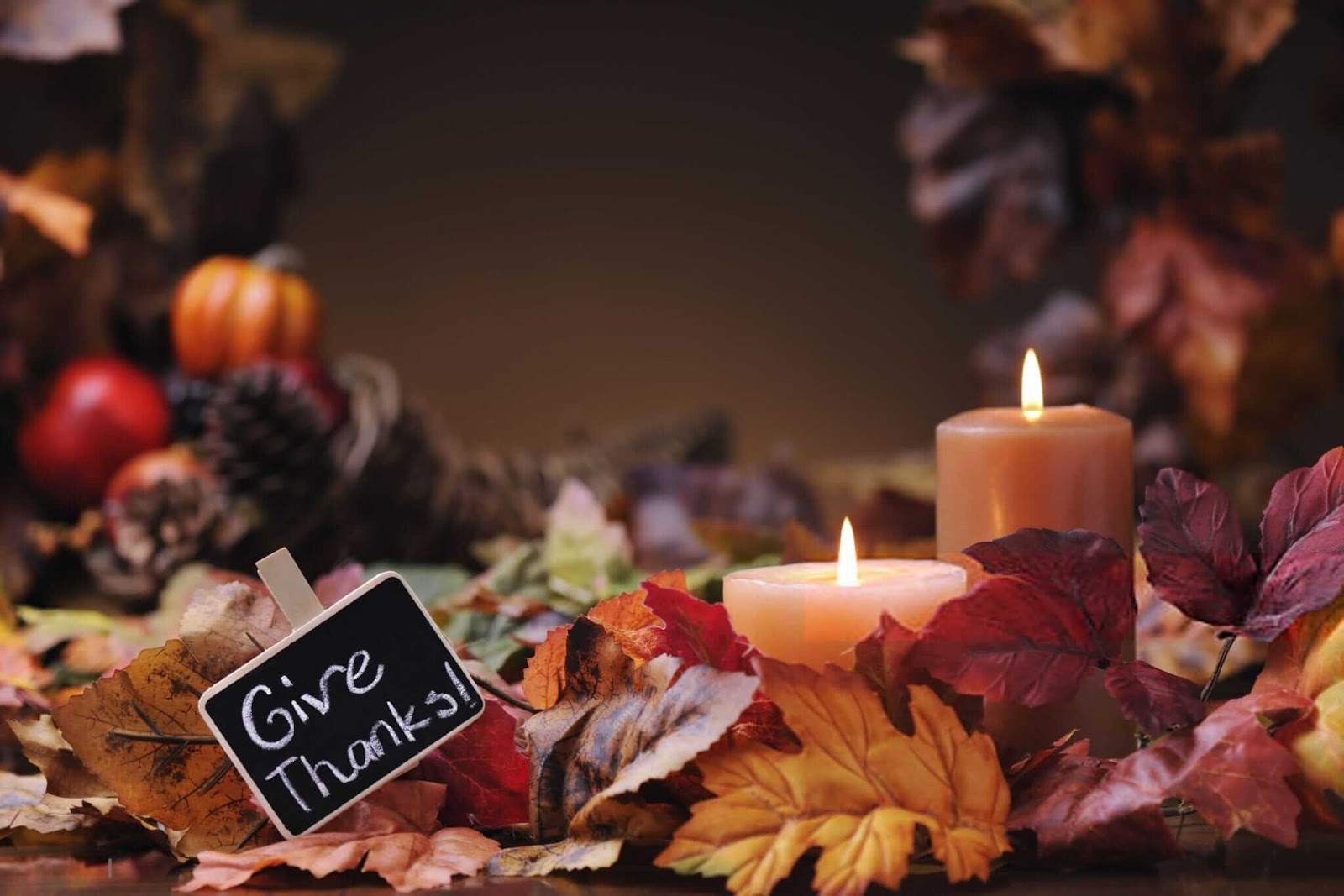 Free Thanksgiving Wallpaper Photos Images Download