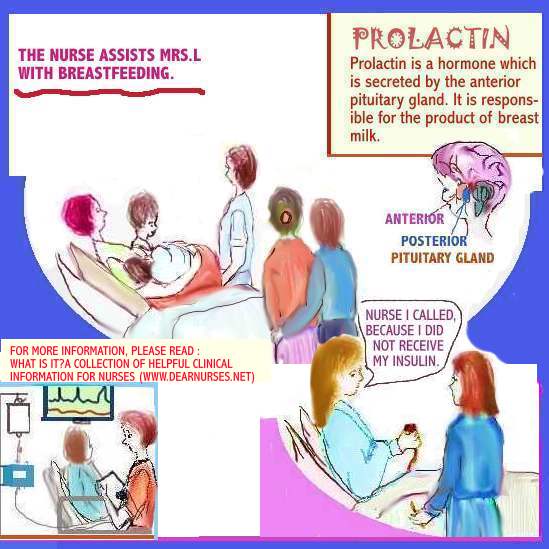 Dear Nurses: WHAT IS IT? PROLACTIN