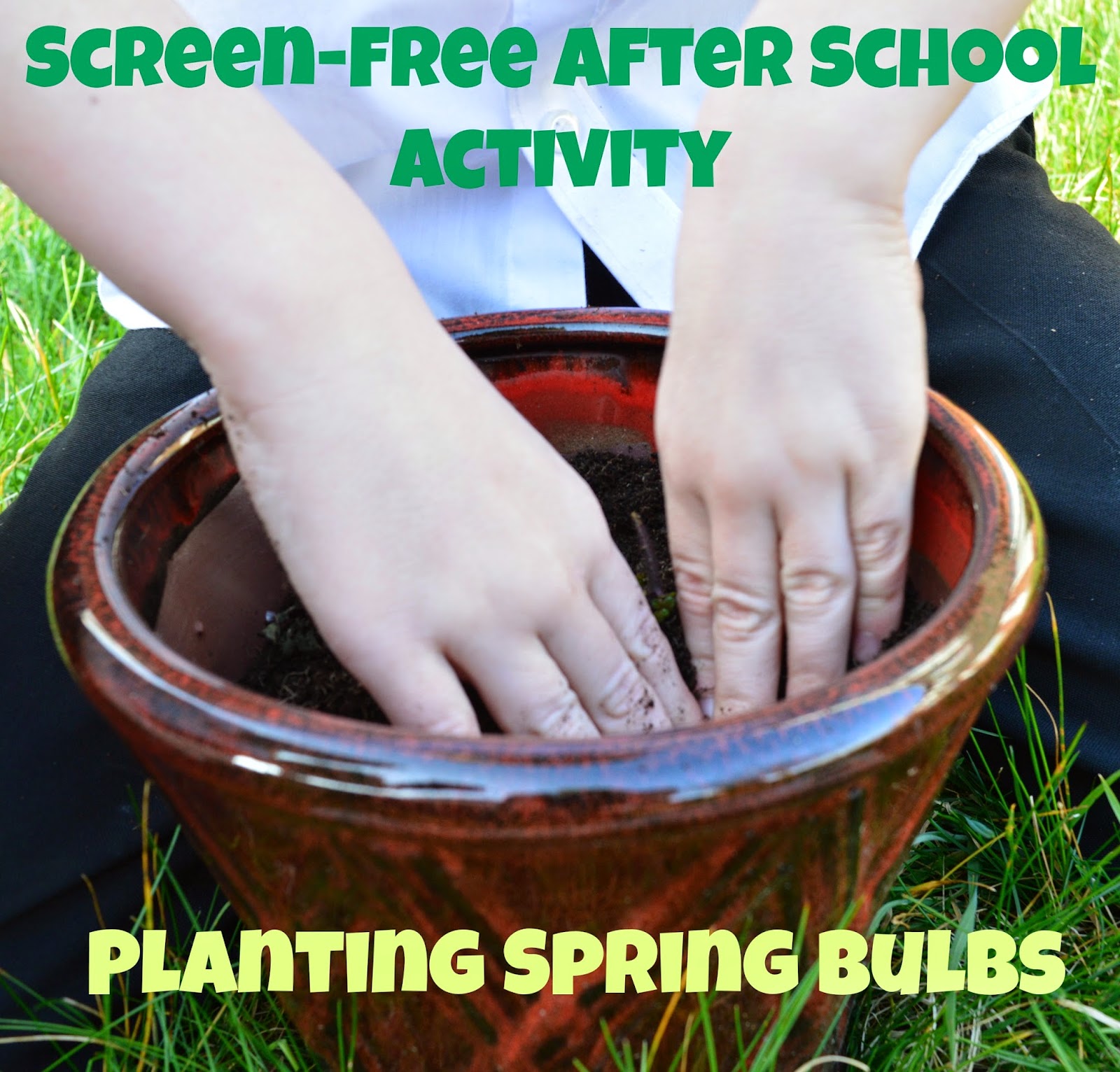 Planting Spring Bulbs | North East Family Fun