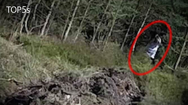 5 Extremely Creepy & Haunted Forests