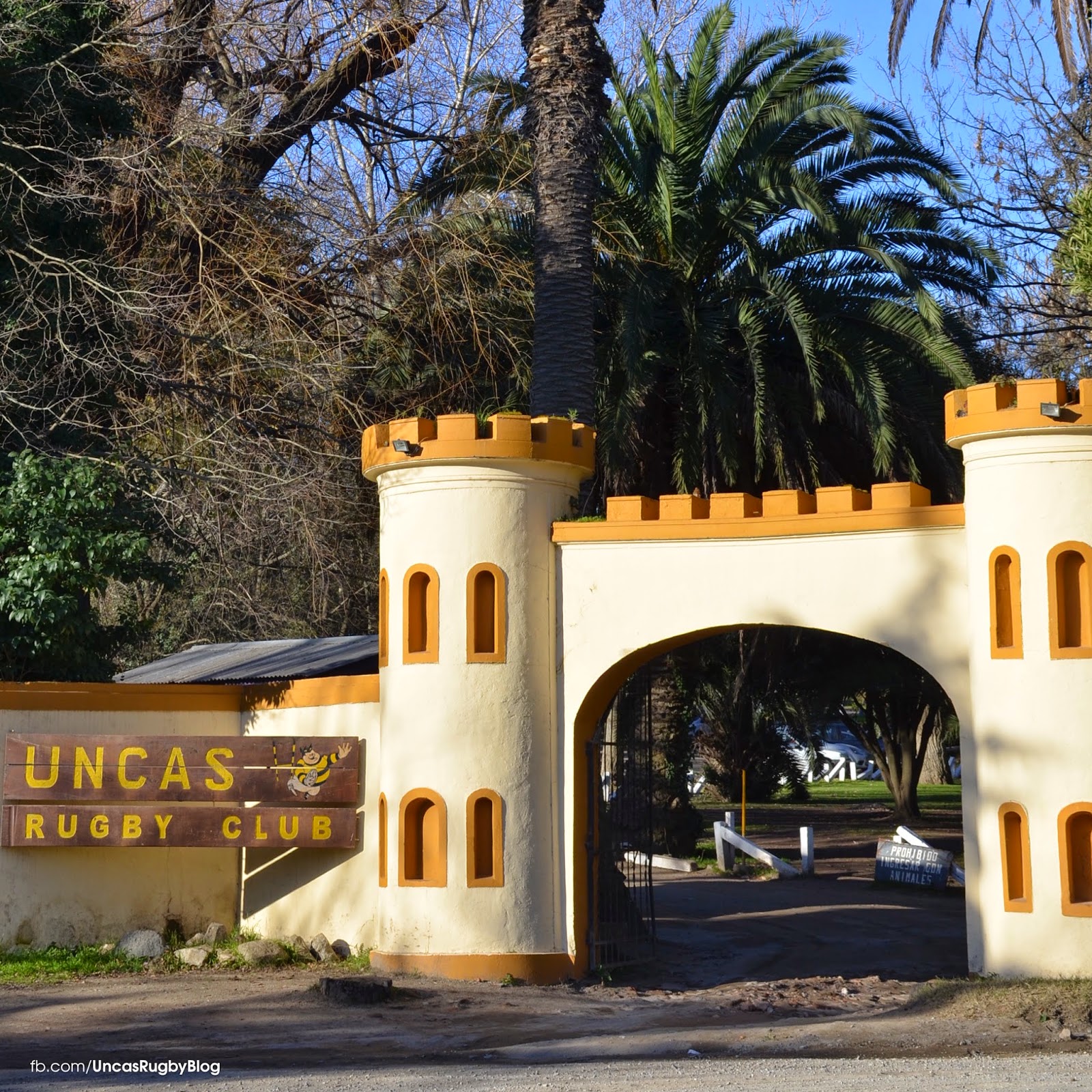 Uncas Rugby Club: 2014