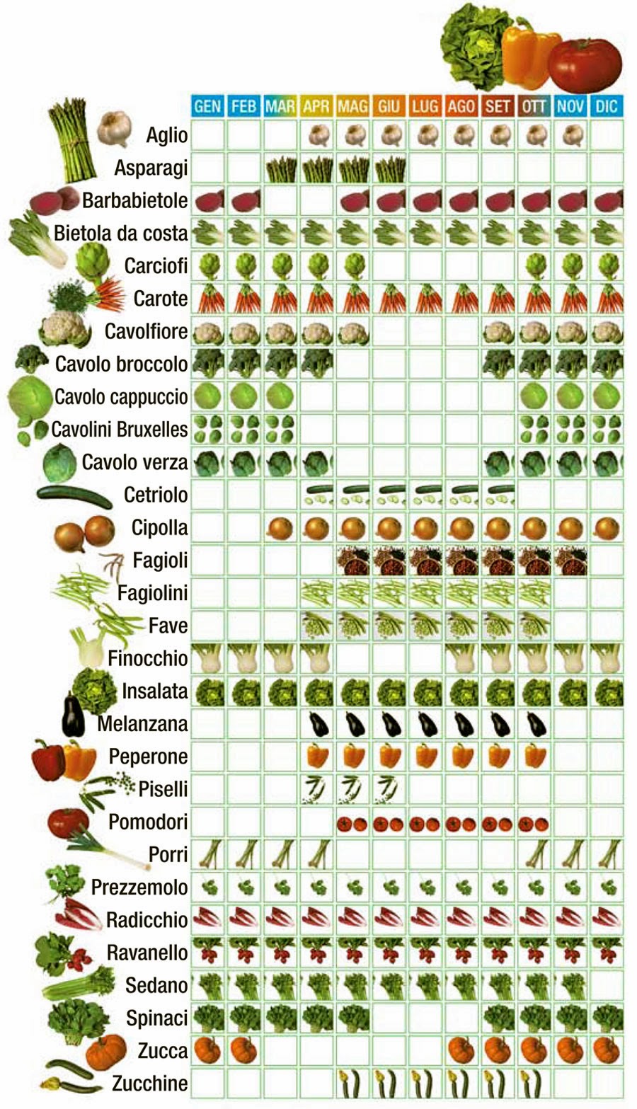 verdura di stagione | Progettazione di giardini di erbe, Verdura, Verdure