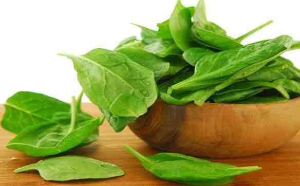 Cara Menanam Bayam Cabut,Bayam Petik dan Bayam Merah - Bawang Bawangan