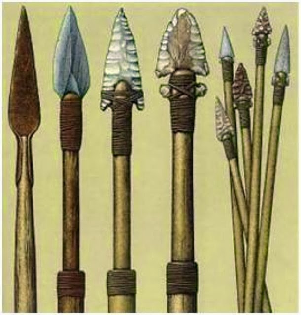 Exploradors i exploradores del món: EVOLUCIÓ I PREHISTORIA