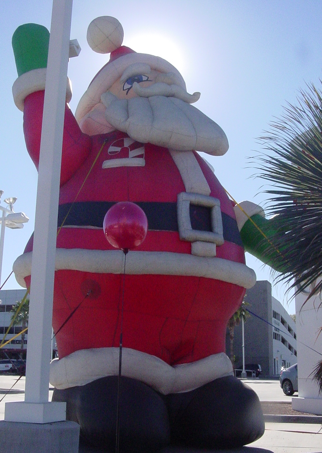Tucson Daily Photo ~: December 2012