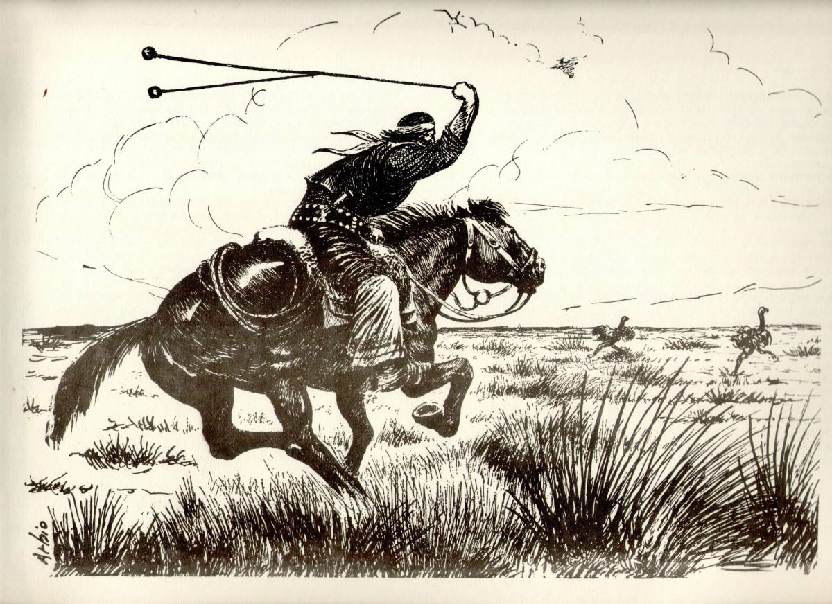 Apuntes profesionales, de Carlos Alberto SANTOSTEFANO: ORIGEN DE LAS ...