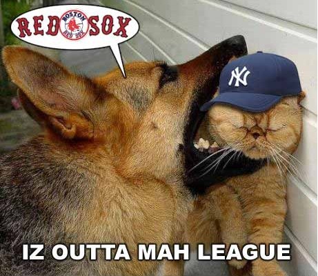 Funny Moments Of New York Yankees | Caps and Hats world