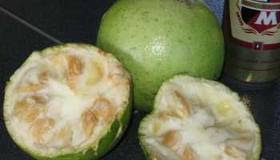 Massala | Maboque | Fruto de Origem Africana