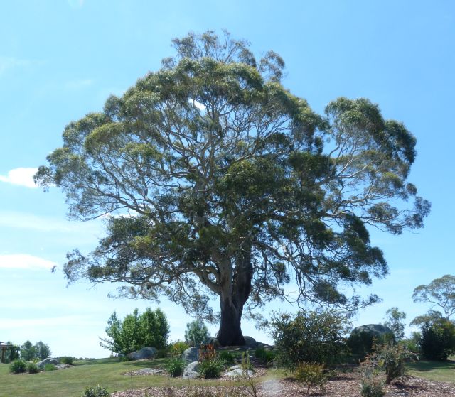 Gardens and Quilts at Braidwood