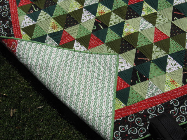 Quilting Blog - Cactus Needle Quilts, Fabric and More: Christmas ...