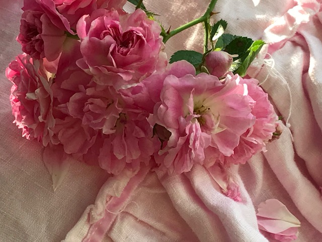 Cottage and Cabin Interiors and Collections