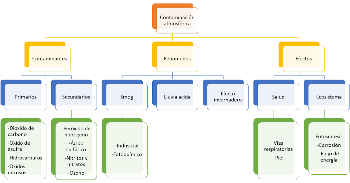 ACTIVIDADES UNIVERSITARIAS: MAPA COGNITIVO DE CAJA PRACTICA 16