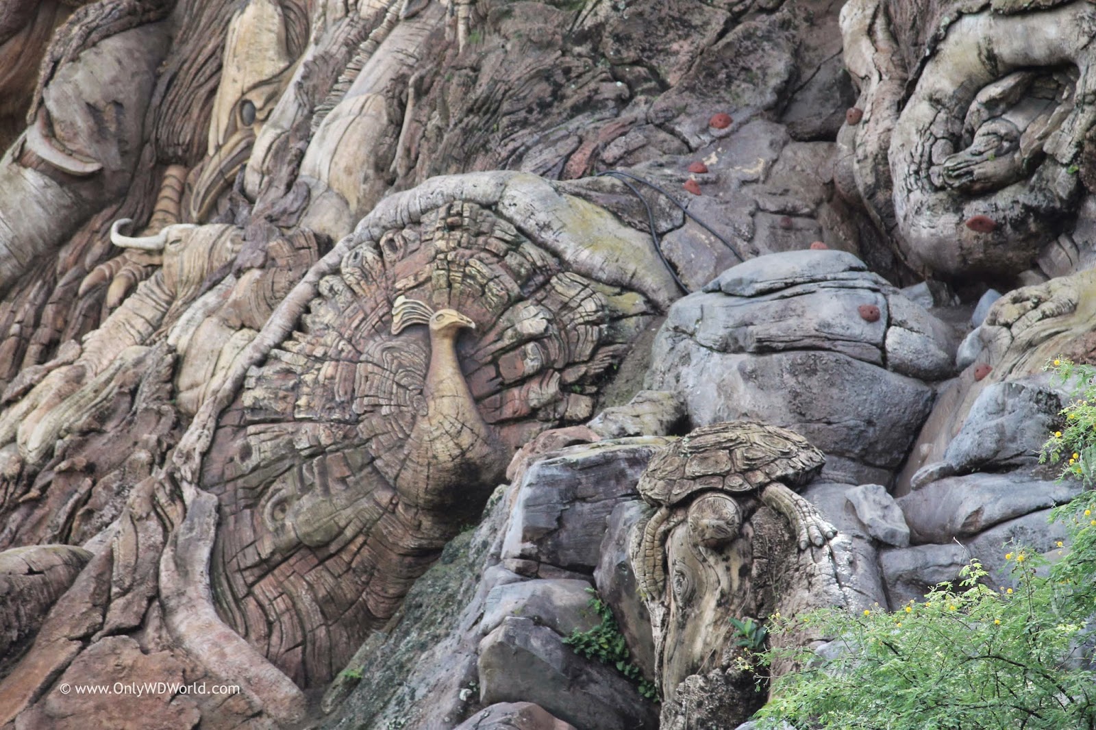 A Closer Look At The Tree Of Life at Disney's Animal Kingdom | Disney ...