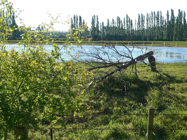 Lilly Pilly: Welcome to Hagley Farm School!