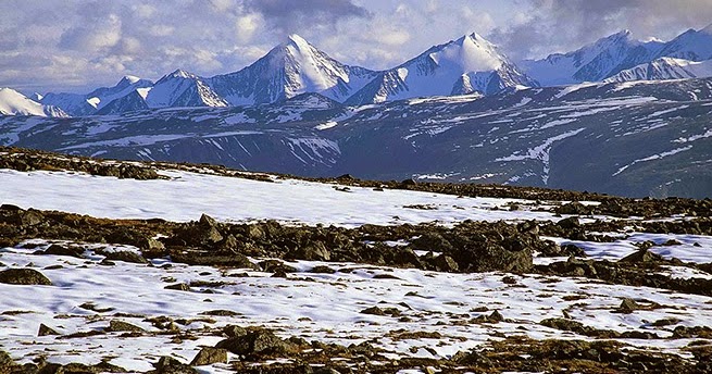 TUNDRA: DESCRIPCIÓN DEL BIOMA DE TUNDRA