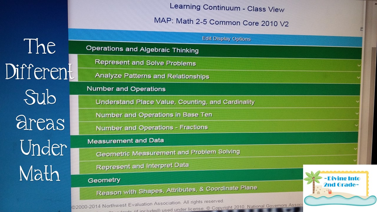 Diving Into 2nd Grade