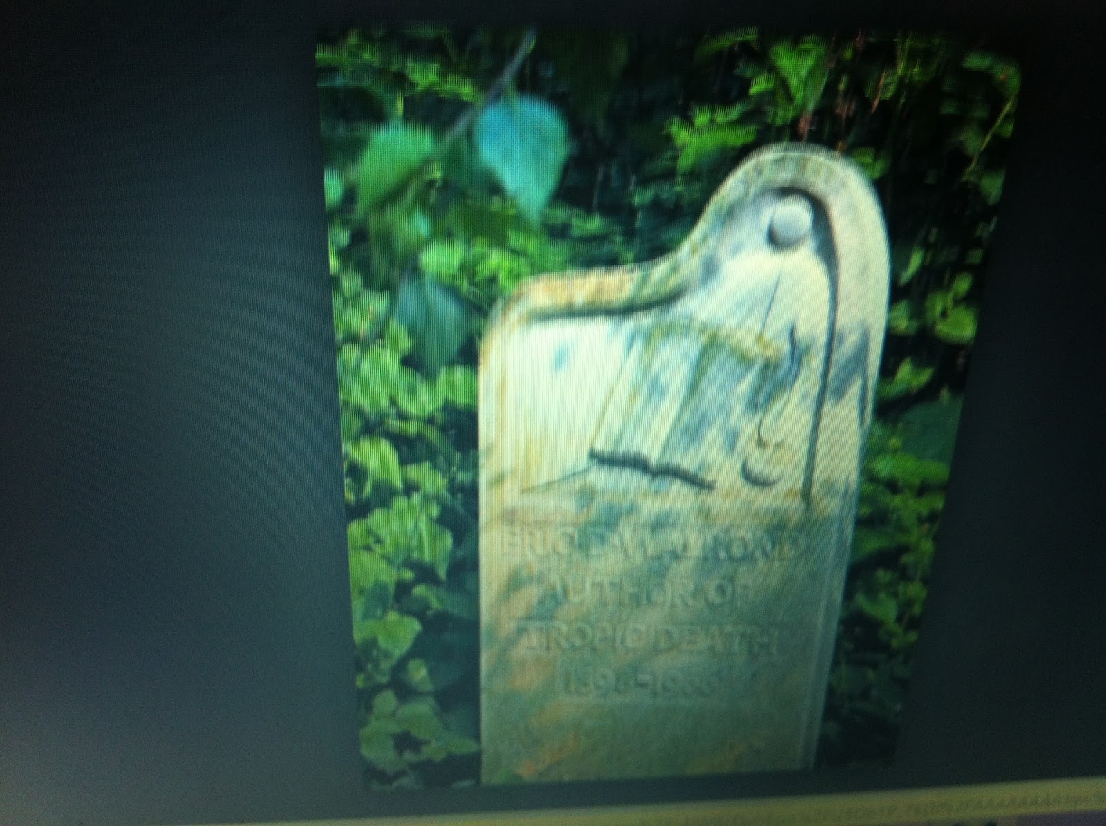 THE BLACK SOCIAL HISTORY:: BLACK SOCIAL HISTORY - AFRO-CARIBBEAN ...