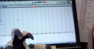 I Loved the Yeti: Mystery Yeti SOLVED