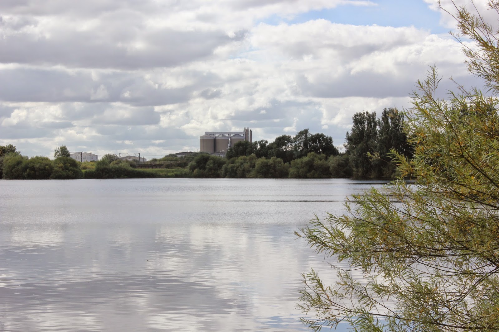 Fishing Diary: A1 Pits complex near Newark