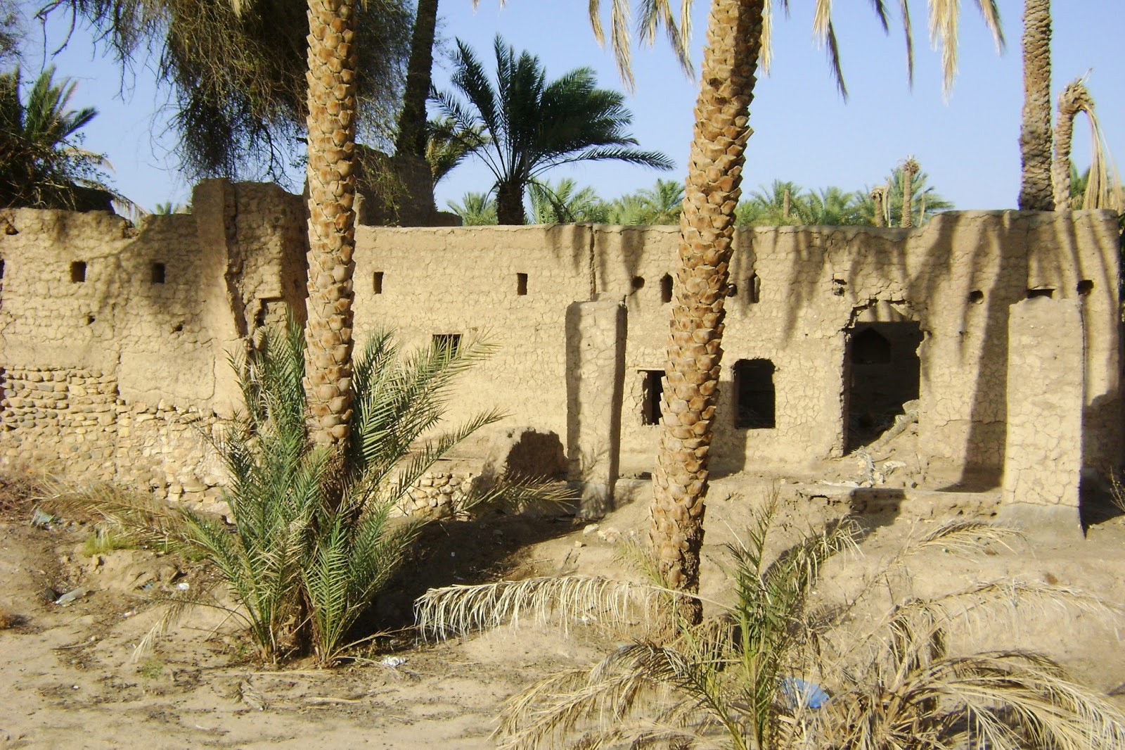 Go with Henry: Uniquely Oman - Ibri souqs, forts, ruins, dates & wadi's