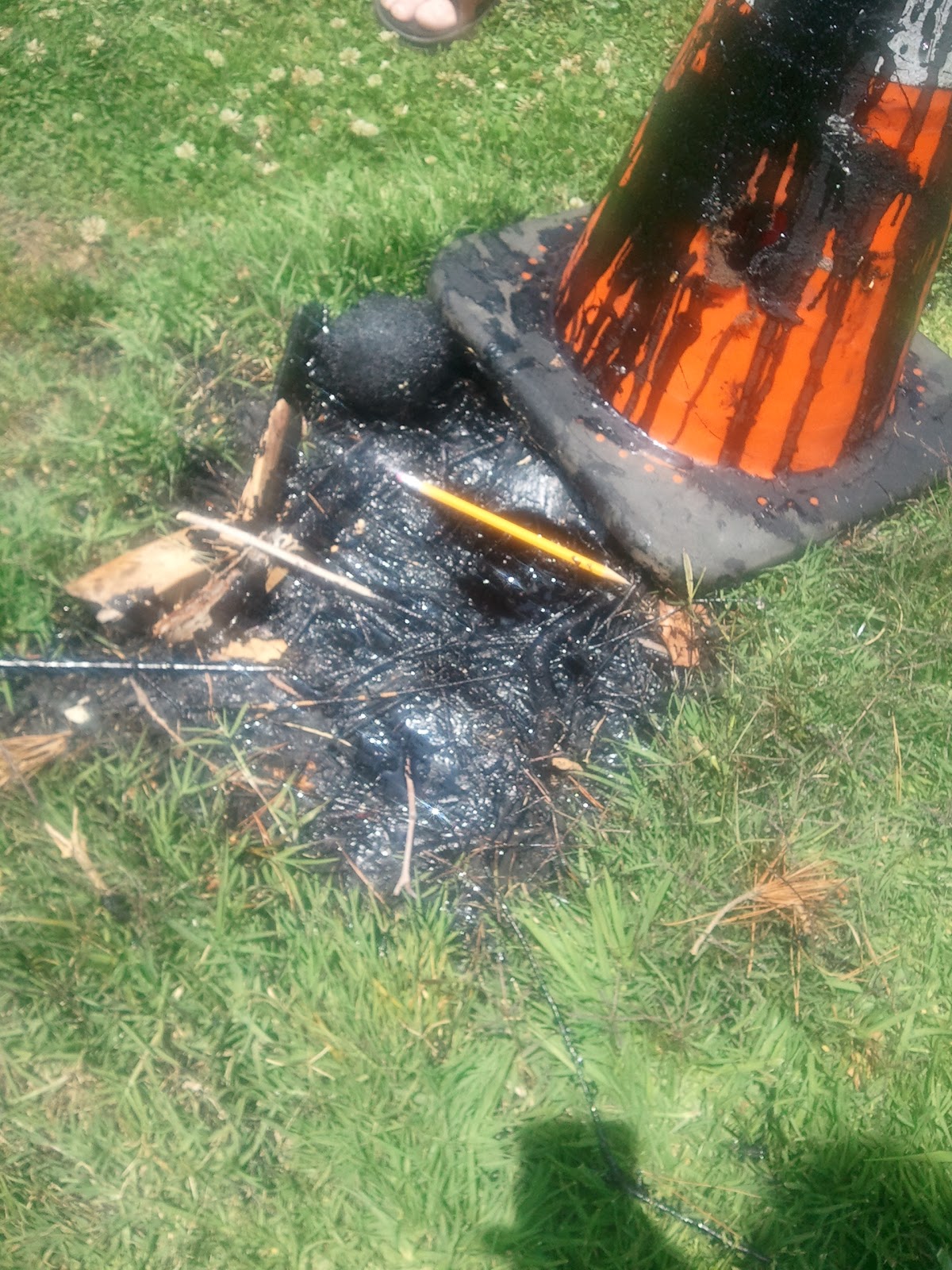 Shapiro's LA Adventure: La Brea Tar Pits