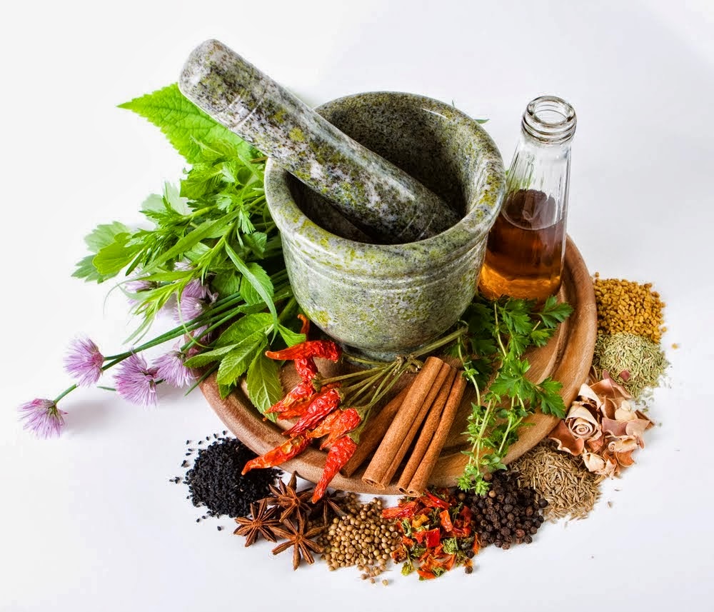 PUTRA GARDEN BALI: Sekilas Tentang Tanaman Obat Keluarga ( TOGA )