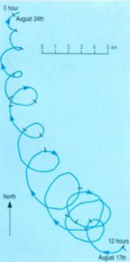 What I learnt in Geography this week.....: Inertia Currents