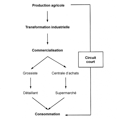 Projet relationnel: Commerce équitable. Objectif: court circuit.