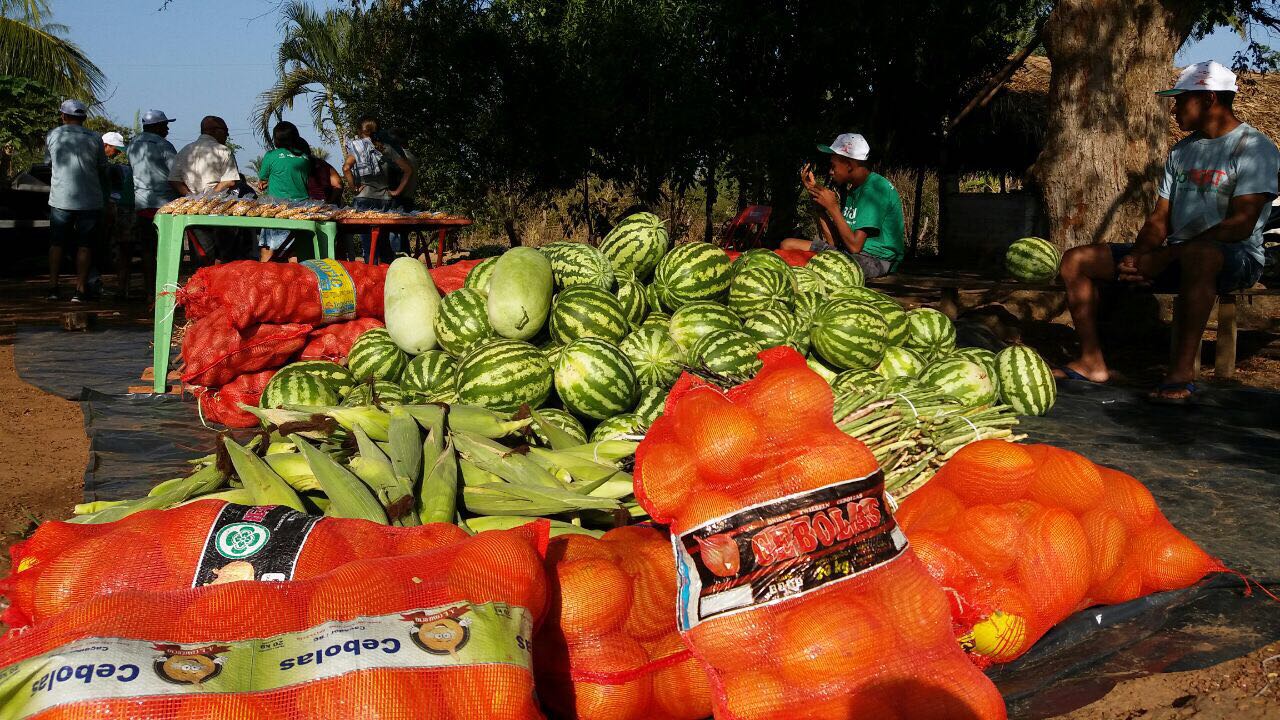 Alpanir Mesquita: Sistema SAF realiza "Dia de Campo" em Codó